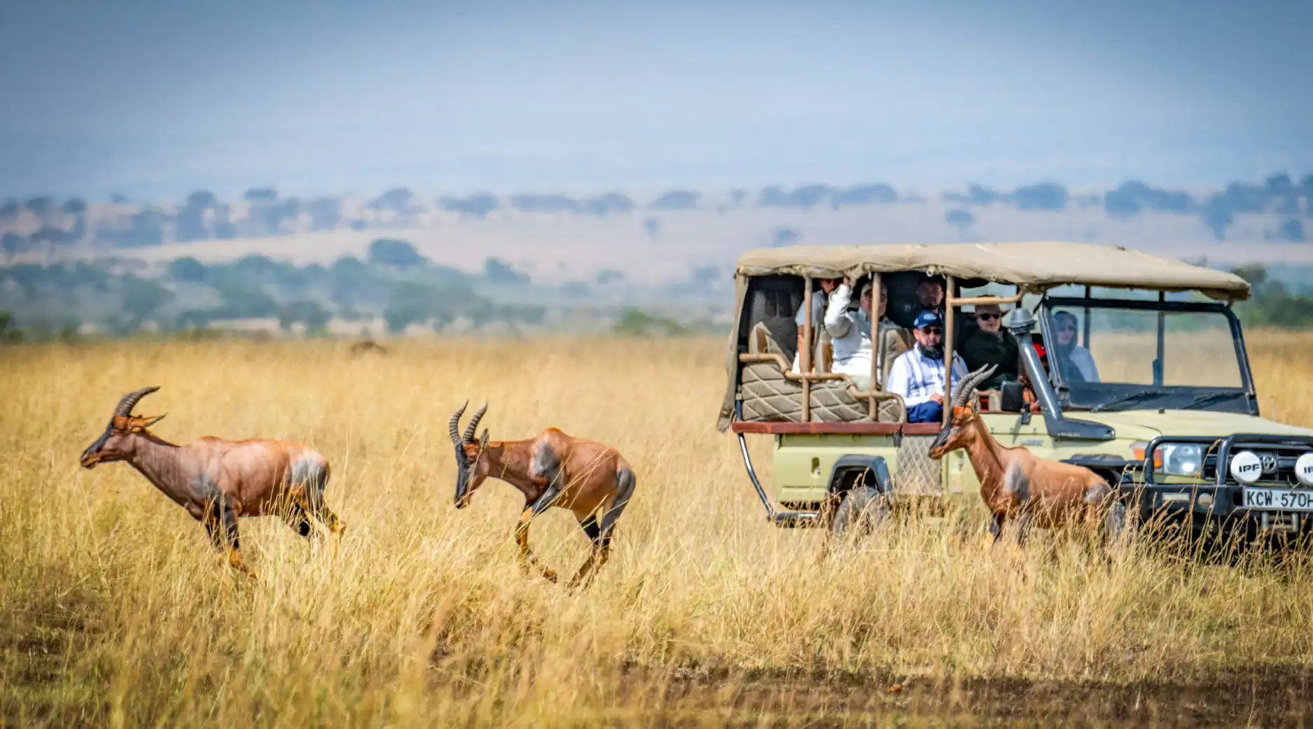 Masai Mara Safari: Complete Travel Guide for UAE Travelers (2026)