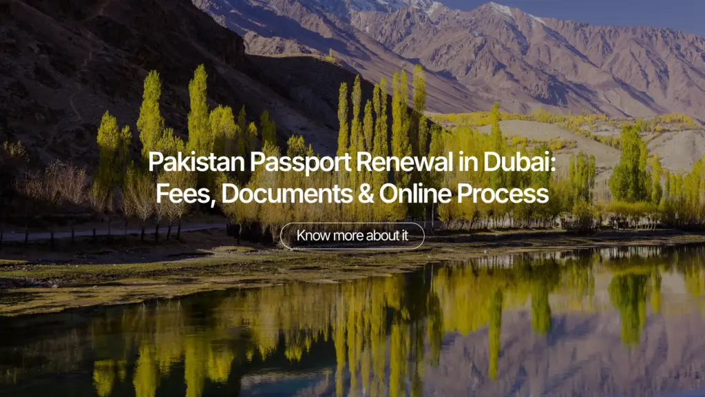 Pakistan Passport Renewal in Dubai: Fees, Process Guide 2026